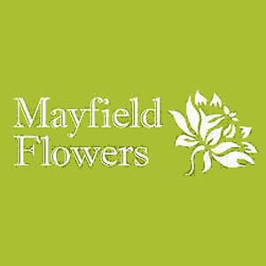 Mayfield Flowers – Grown In Scotland